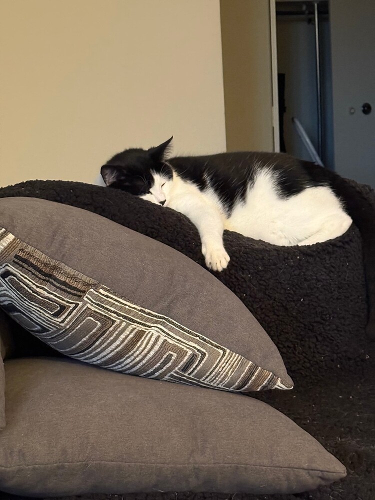 3 Prosecutors Resign Over DOJ's Highly Irregular Move In Police ...